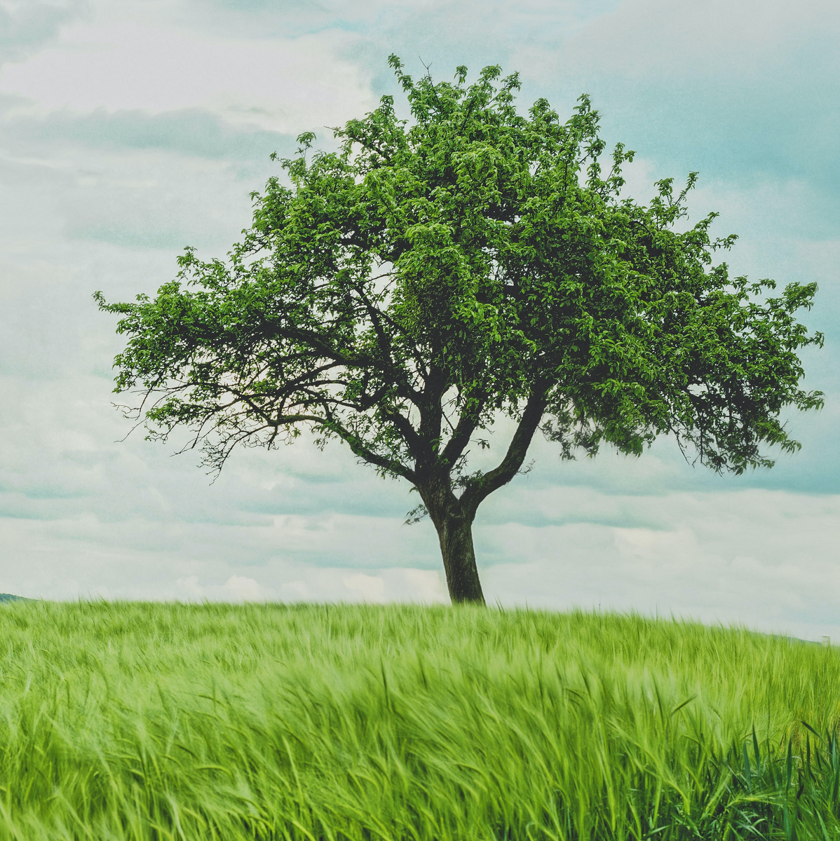 How we make great products sustainability – Sniffe & Likkit